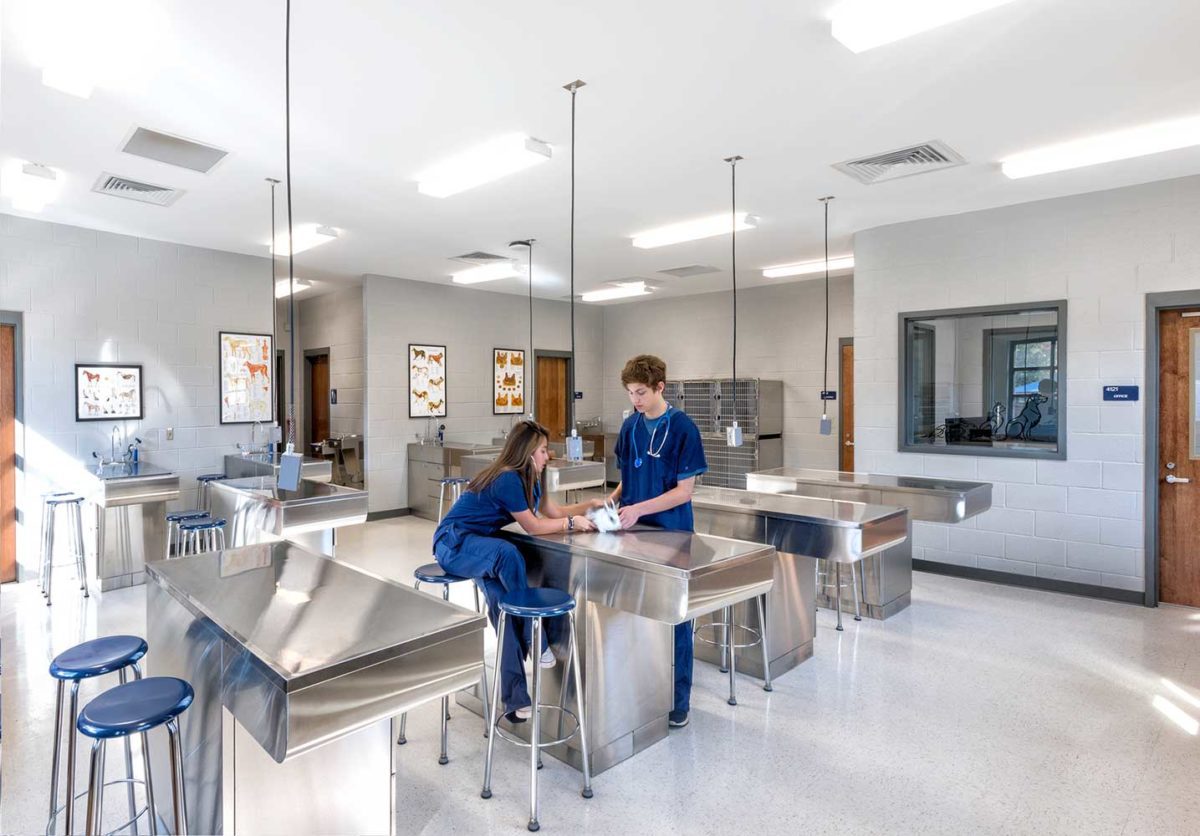 Forsyth County Schools – Denmark High School - BRPH